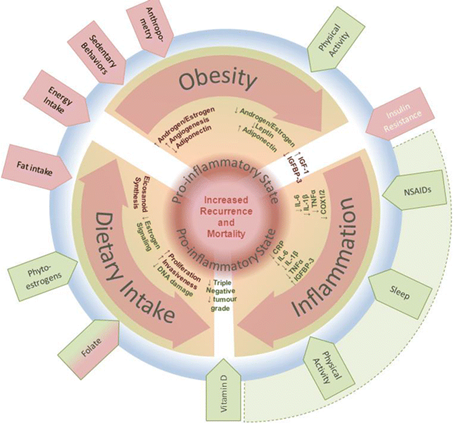 Lifestyle Factors That Impact Breast Cancer Risk 🎀 – Manuela Boyle